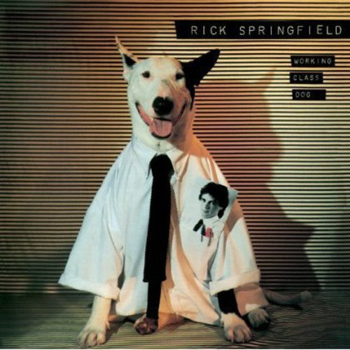 Working Class Dog - Rick Springfield – Vnyl Confessions